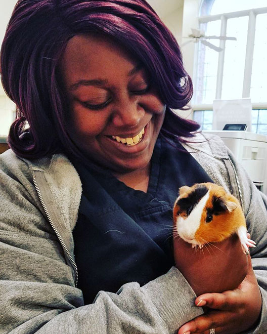 AAHA - Vet in Burlington | Town N Country Animal Hospital