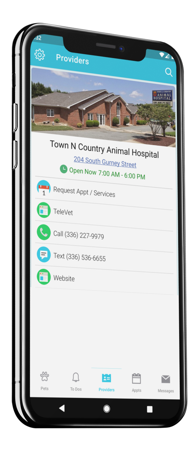 Introducing the Otto App: Your Pet’s New Best Friend! - Town N Country ...