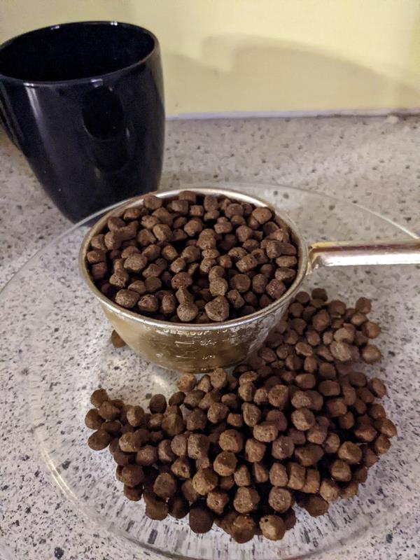 When a Cup isn't a Cup - A Math Problem - Town N Country Animal Hospital