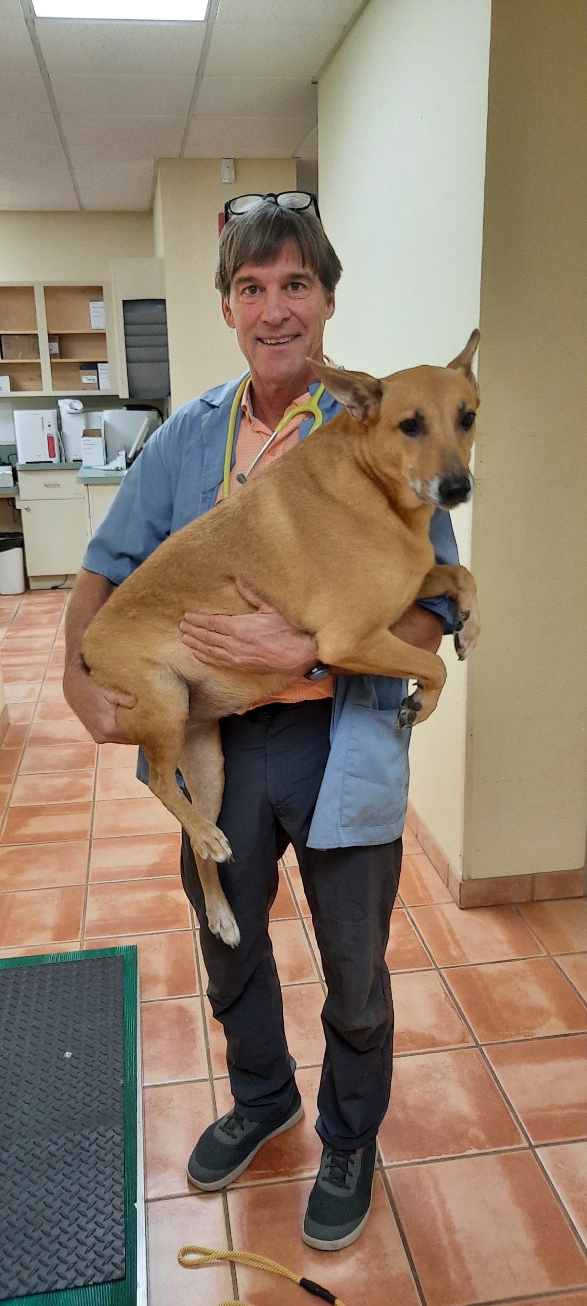 Introducing Dr. Corbin! - Town N Country Animal Hospital