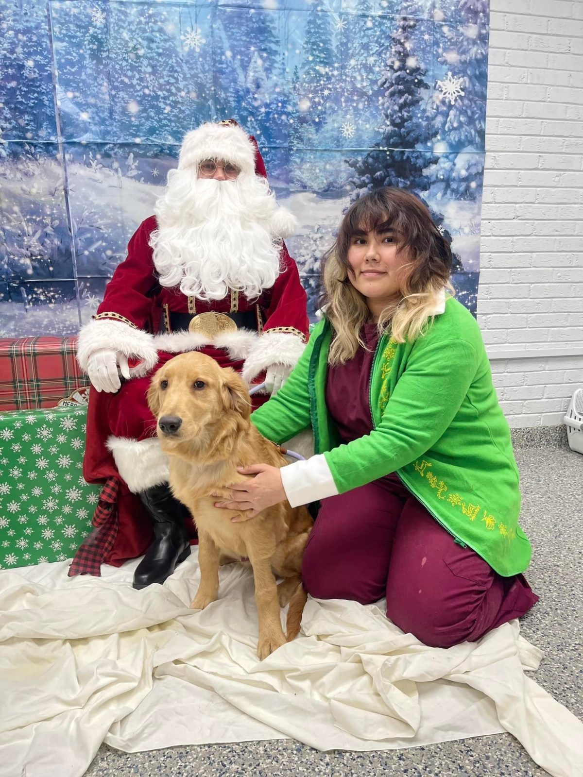 Meet Vee - Kennel Manager - Town N Country Animal Hospital